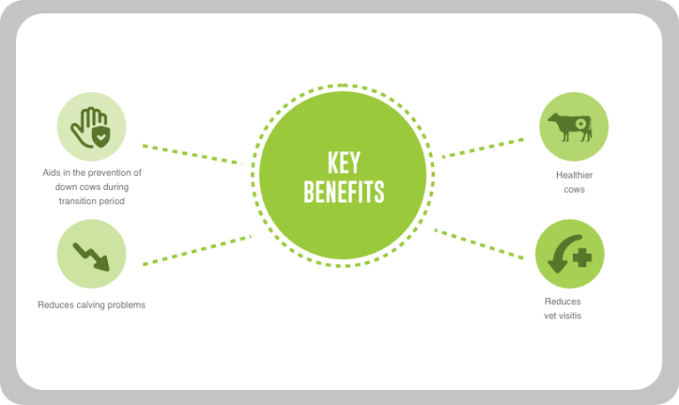 DCAD Plus | Mineral Solutions | DBC Products